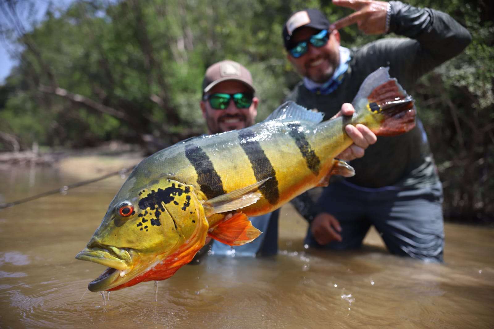 Species - Tucunare Lodge